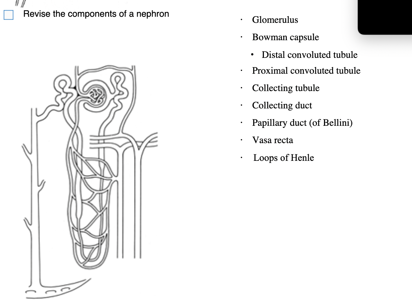 Solved vision. Revise the components of a nephron - | Chegg.com