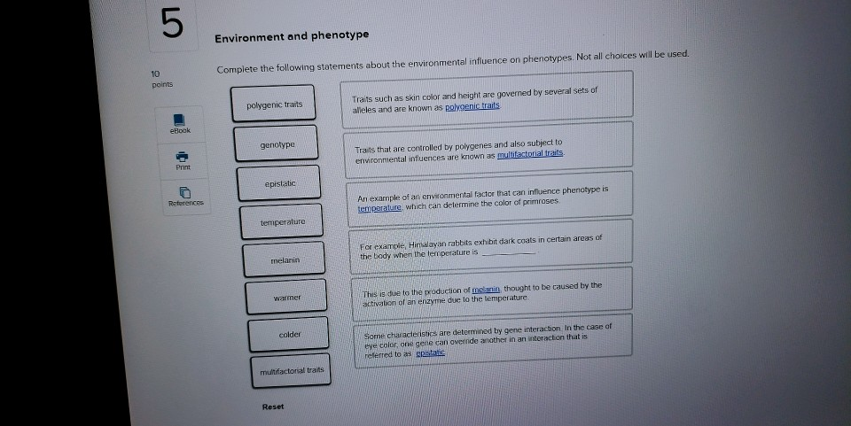 Solved Environment and phenotype 10 points Complete the | Chegg.com