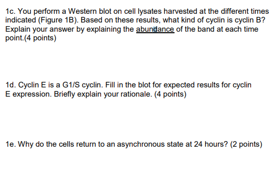 Solved Refer to Figure 1 to answer the following questions. | Chegg.com
