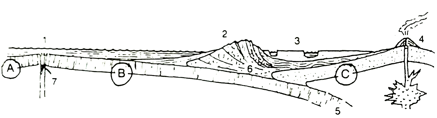 Solved Q.6. Using the figure below, identify the following | Chegg.com