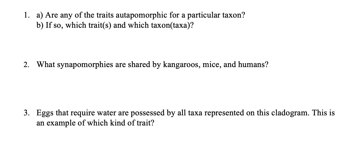 Solved Lobe-finned Fish Frog Turtle Kangaroo Mouse Human | Chegg.com