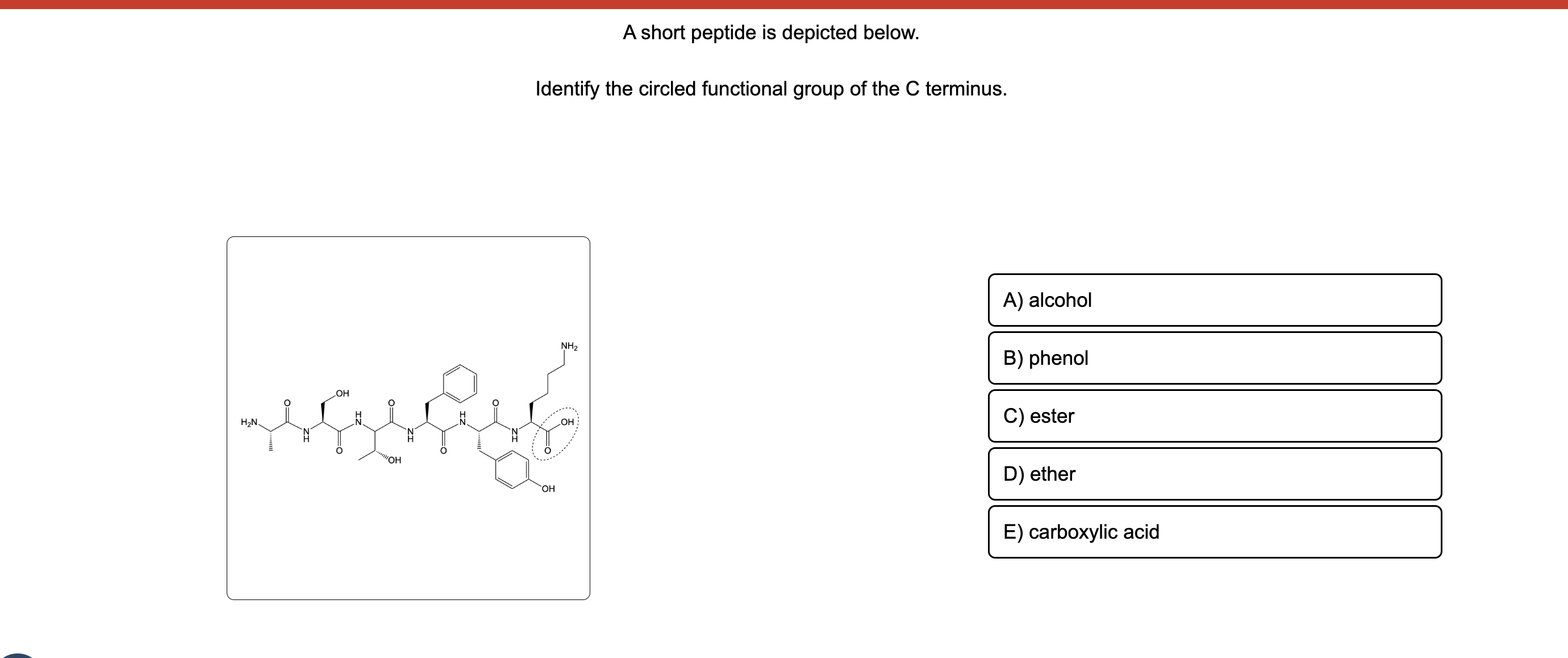 Solved A short peptide is depicted below. Identify the | Chegg.com