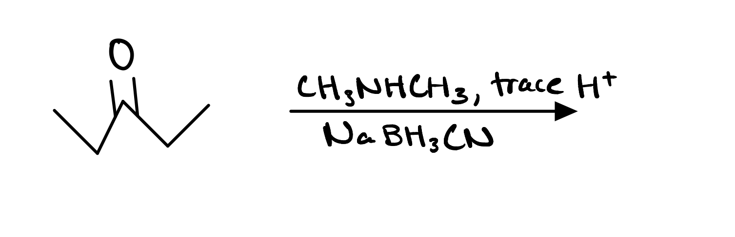 Solved CHINHCH3, trace H+ Na BH3CN | Chegg.com