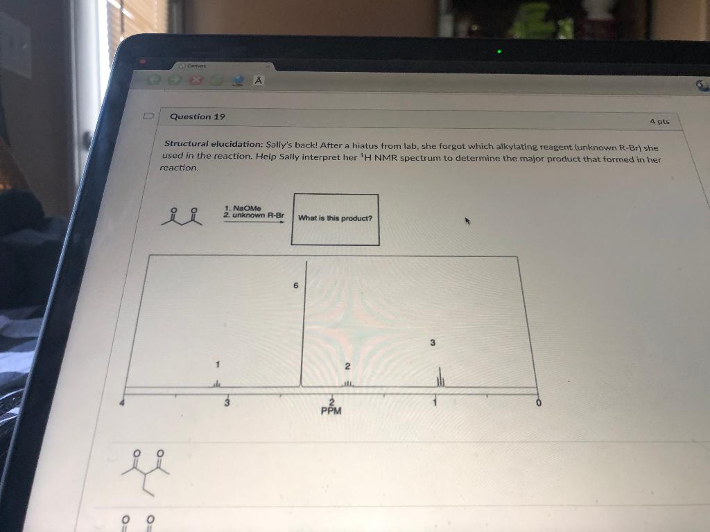 Solved А Question 19 Apts Structural elucidation: Sally's | Chegg.com