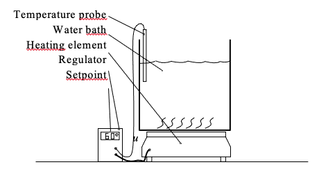 A thermal process, here a water bath, is well | Chegg.com