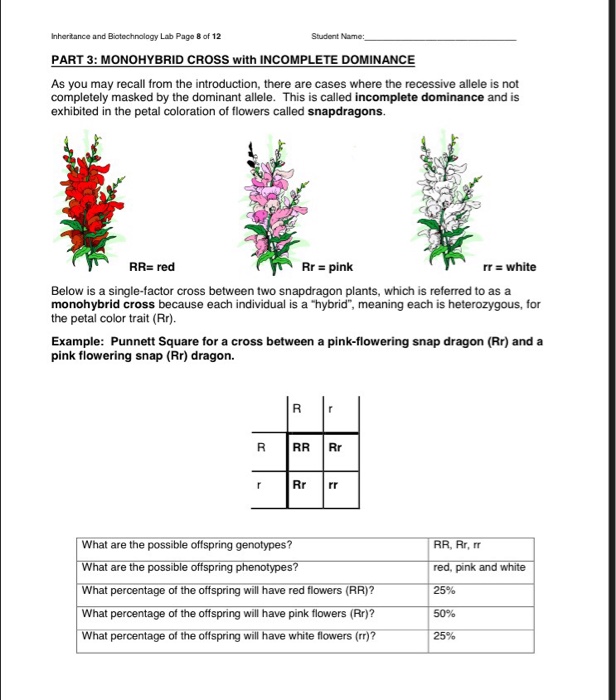 Solved Inheritance and Biotechnology Lab Page 1 of 12 | Chegg.com Solved Inheritance and Biotechnology Lab Page 1 of 12 | Chegg.com