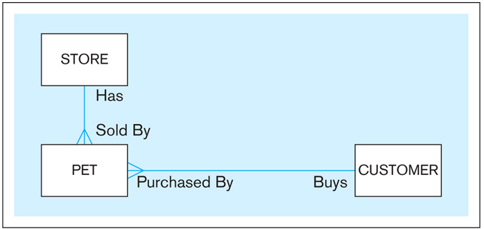 Solved For each of the following pairs of related entities, | Chegg.com