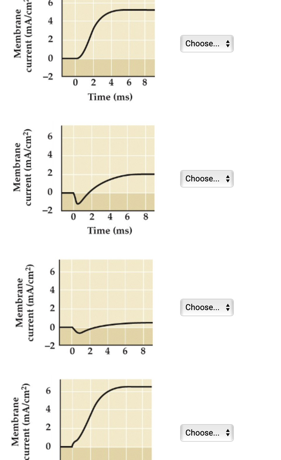 Solved You are carrying out a voltage clamp experiment in | Chegg.com
