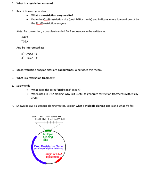 Solved A. ﻿What is a restriction enzyme?B. ﻿Restriction | Chegg.com