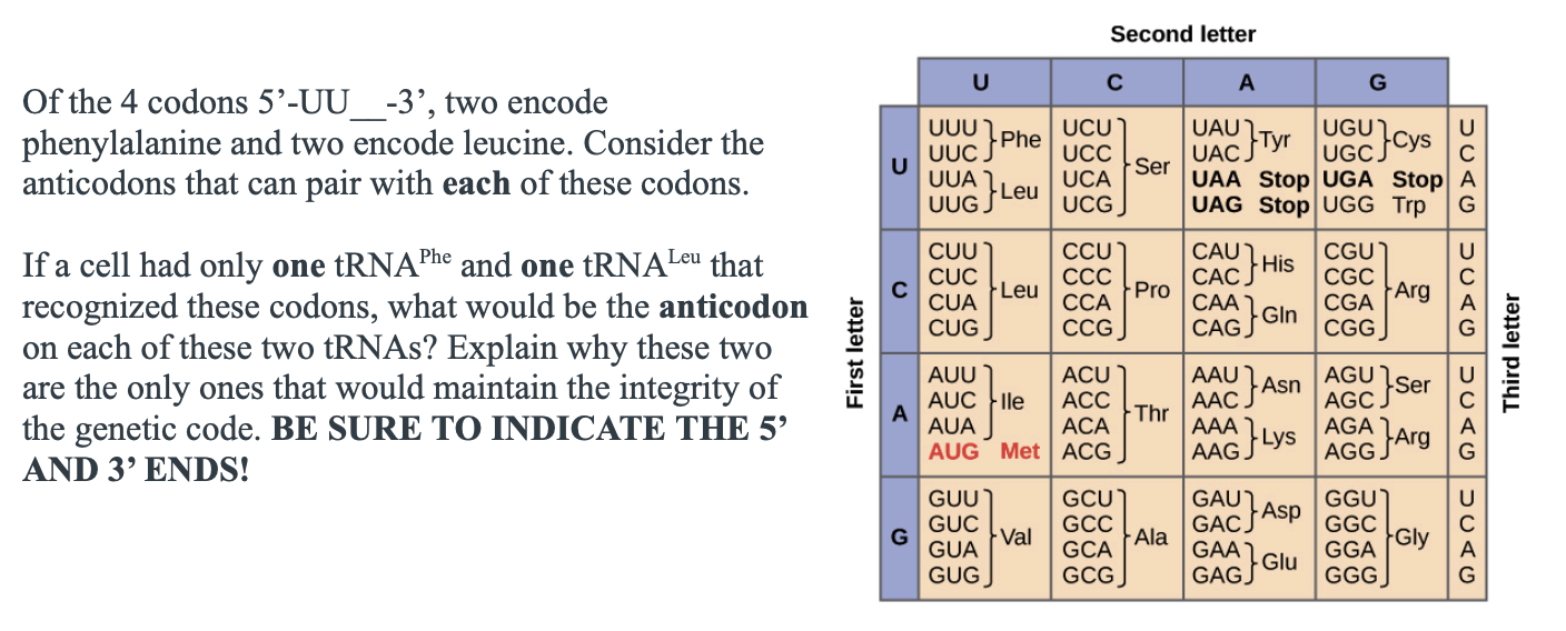 Solved Of the 4 ﻿codons 5'-UU__- 3', ﻿two | Chegg.com