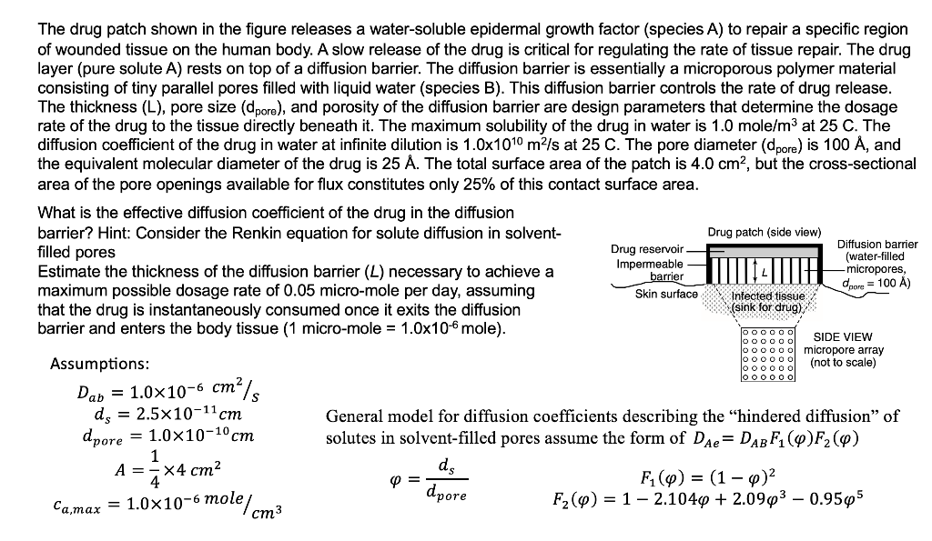 Solved Diffusion barrier filled pores The drug patch shown | Chegg.com