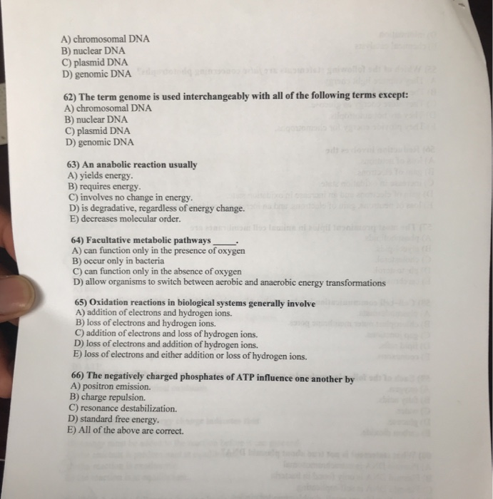Solved A) chromosomal DNA B) nuclear DNA C) plasmid DNA D) | Chegg.com
