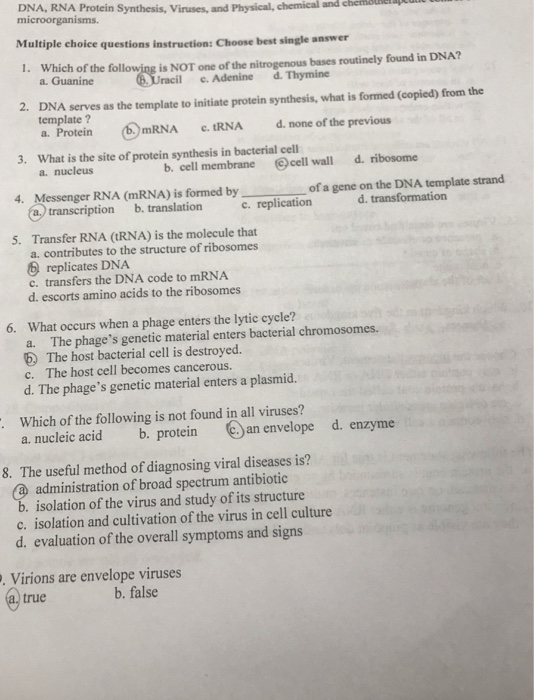 Solved DNA, RNA Protein Synthesis, Viruses, and Physical, | Chegg.com