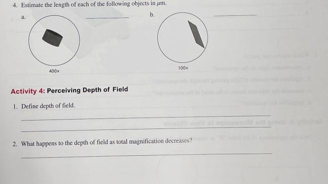 Solved 4. Estimate the length of each of the following | Chegg.com