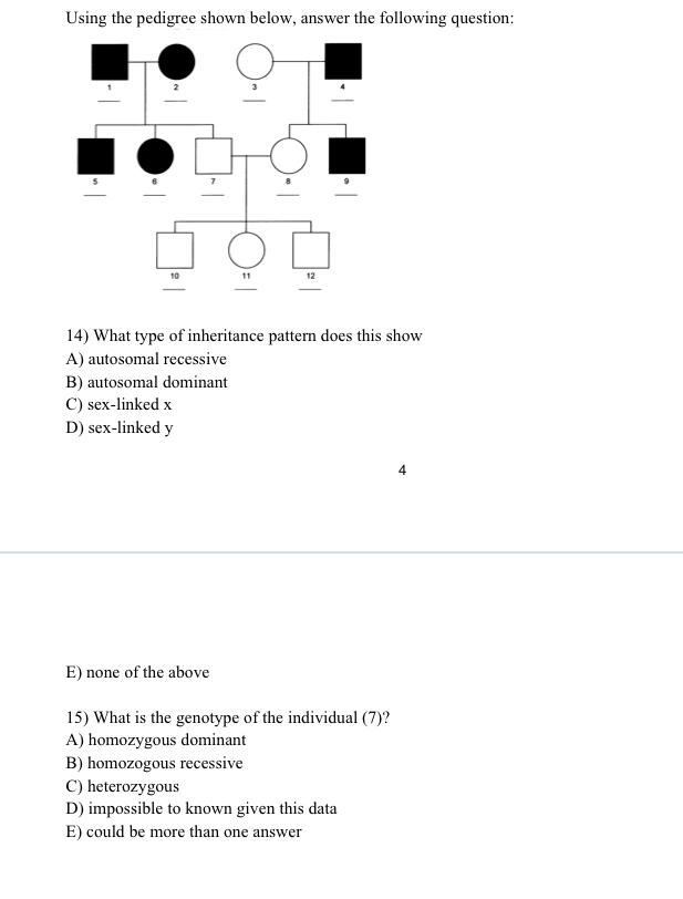 Solved Using the pedigree shown below, answer the following | Chegg.com