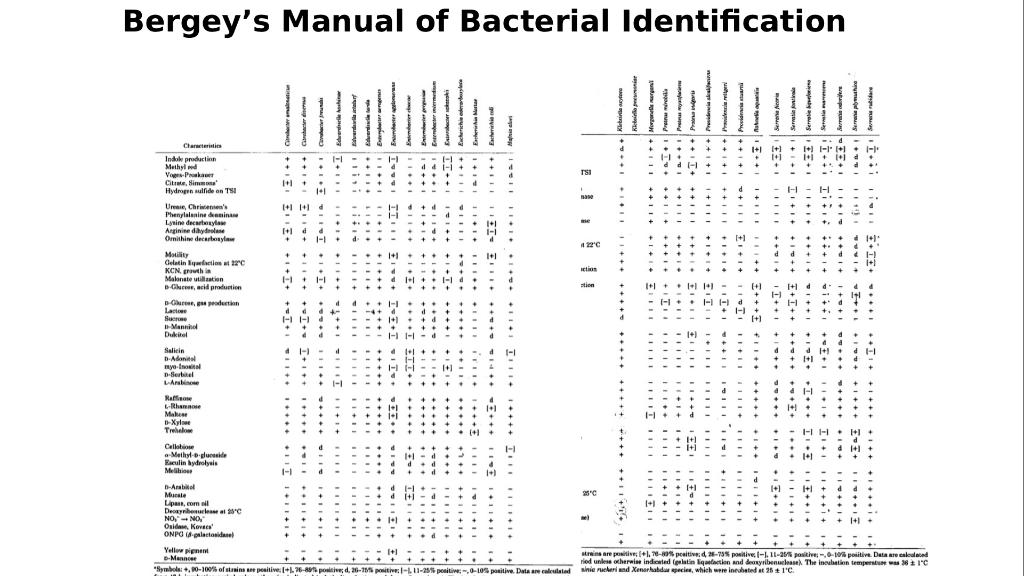 A “Virtual” Unknown Bacteria Identification Phylum | Chegg.com