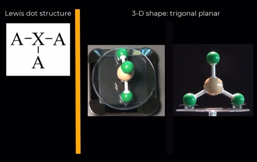 Solved Lewis dot structure 3-D shape: trigonal planar A-X-A | Chegg.com