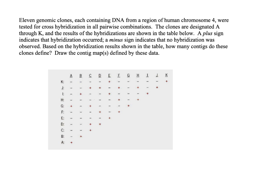 Eleven genomic clones, each containing DNA from a | Chegg.com