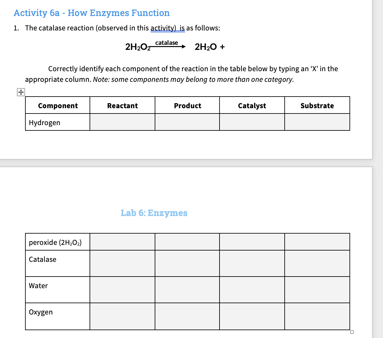 Solved Activity 6a - How Enzymes Function 1. The catalase | Chegg.com