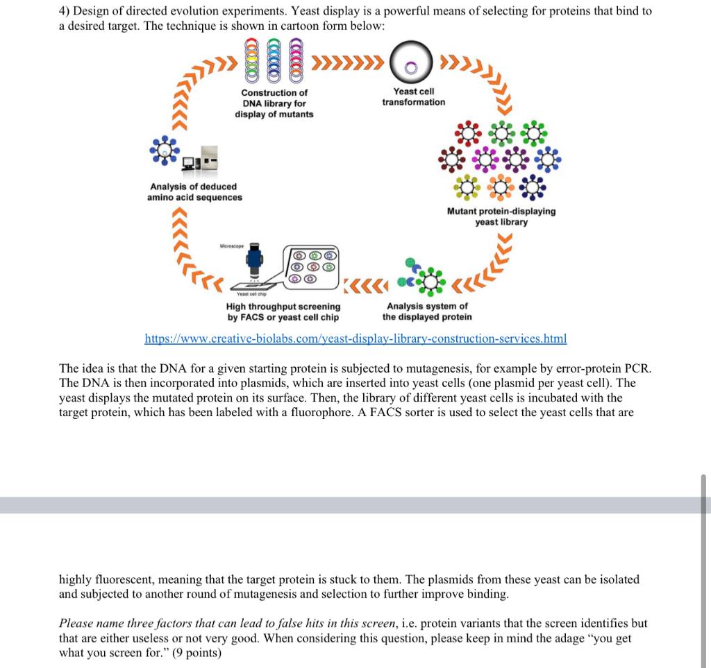 4) Design of directed evolution experiments. Yeast | Chegg.com