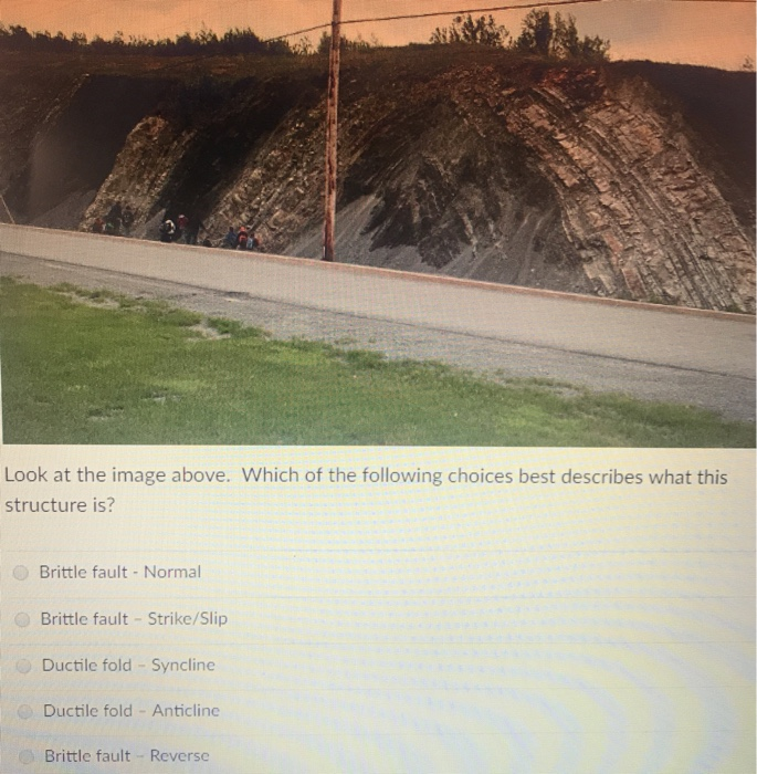Solved Look at the image above. Which of the following | Chegg.com