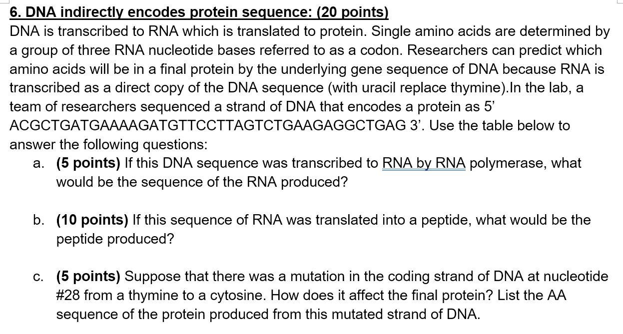 Solved 6. DNA indirectly encodes protein sequence: (20 | Chegg.com