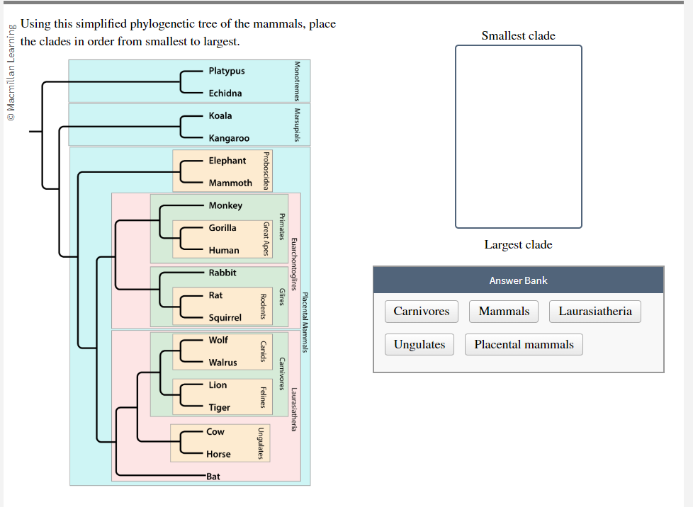 Solved Using this simplified phylogenetic tree of the | Chegg.com