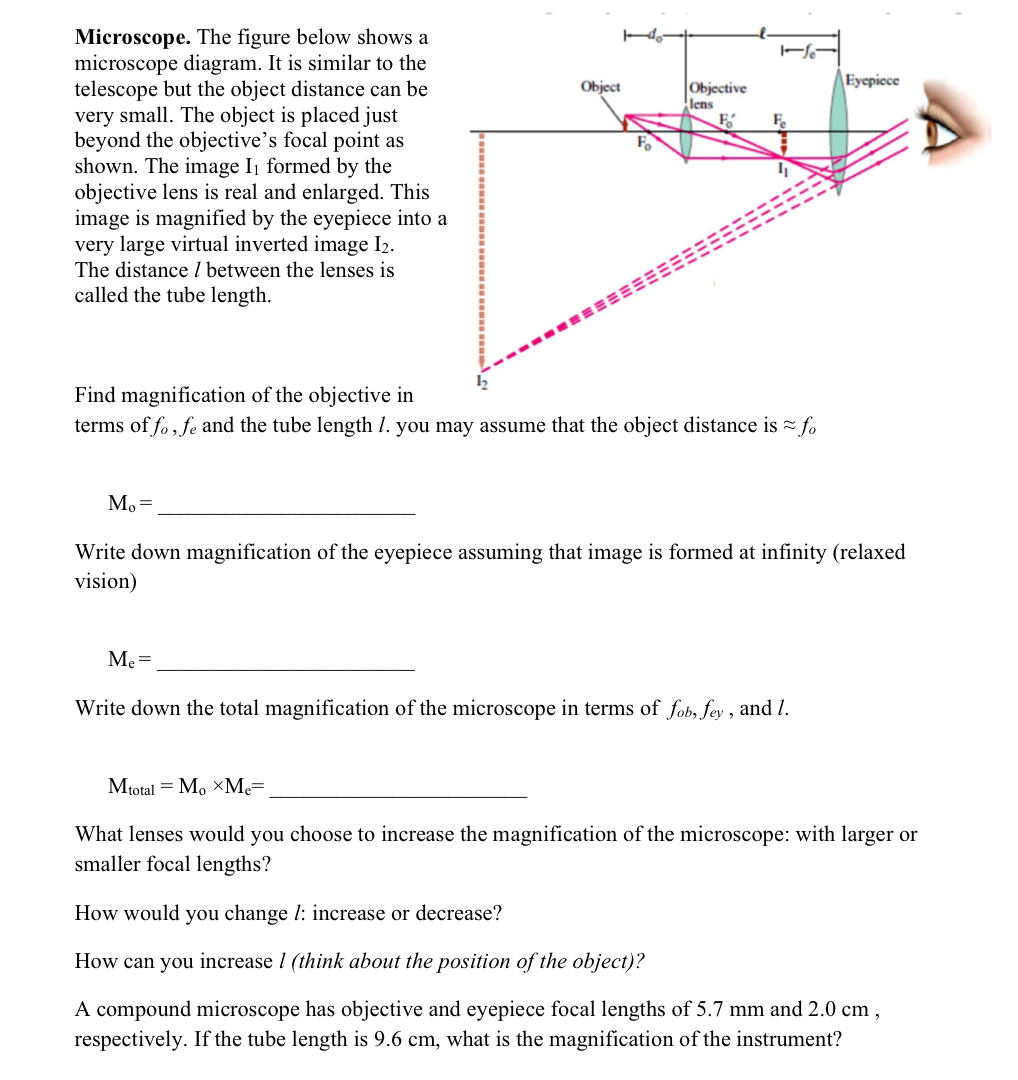 Solved Object Eyepiece Objective lens F Microscope. The | Chegg.com