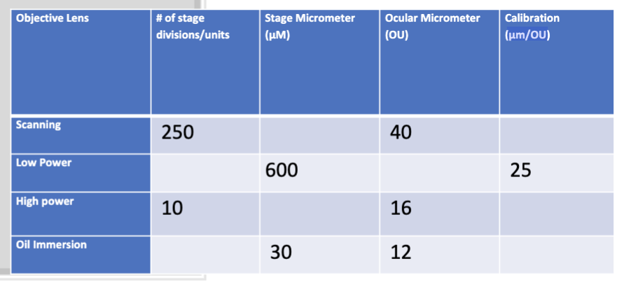Solved Objective Lens # of stage divisions/units Stage | Chegg.com