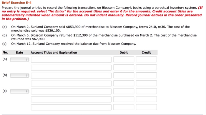 Solved Brief Exercise s-3 Prepare the journal entries to | Chegg.com