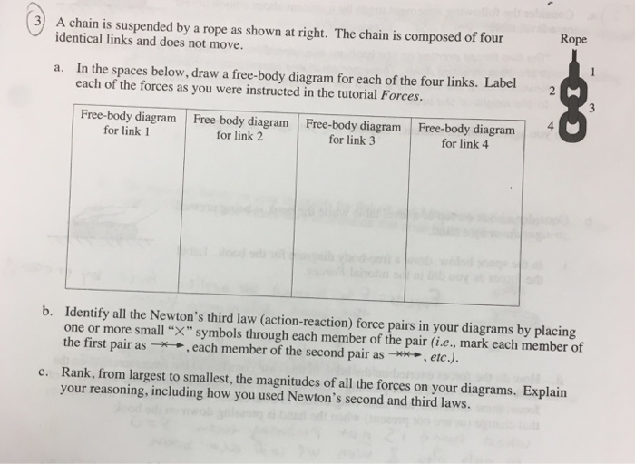 Solved 3) A chain is suspended by a rope as shown at right. | Chegg.com