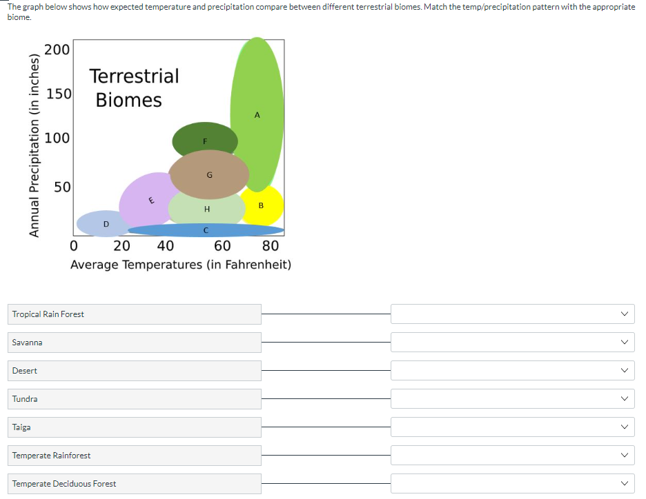 Tropical Rainforest Graph Of Temperature And Precipitation