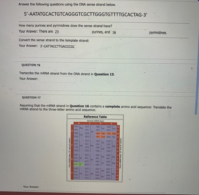 Solved Answer the following questions using the DNA sense | Chegg.com