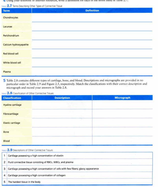 Solved 4 Fill in the blanks using your model and/or cadaver | Chegg.com