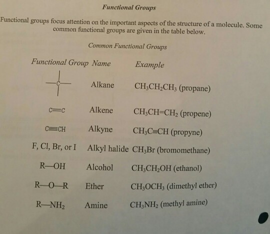 Solved Functional Groups Functional groups focus attention | Chegg.com