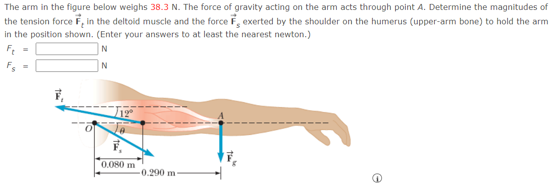 Solved The arm in the figure below weighs 38.3 N. The force | Chegg.com