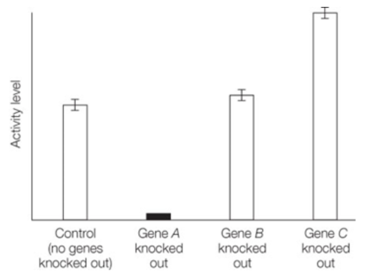 Solved The picture shows the locomotion activity of | Chegg.com