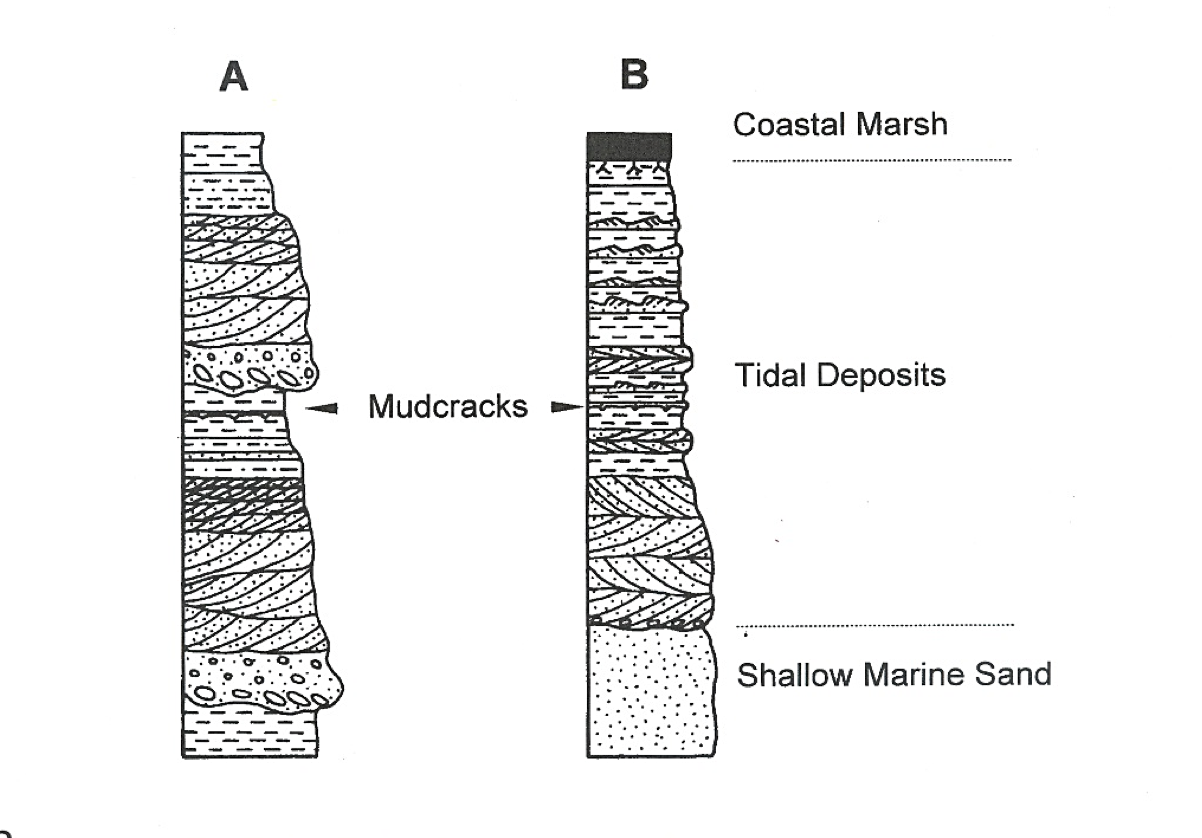 Solved Coastal Marsh RITID .0.0.0:1 SO Tidal Deposits HILLO | Chegg.com