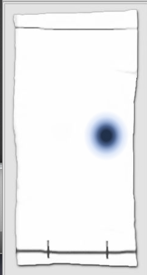 Solved what is this tlcs RF value; use any standard ruler to | Chegg.com