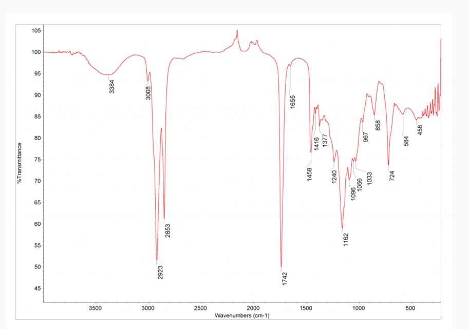 Solved What are the important peaks in the IR Spectrum of | Chegg.com