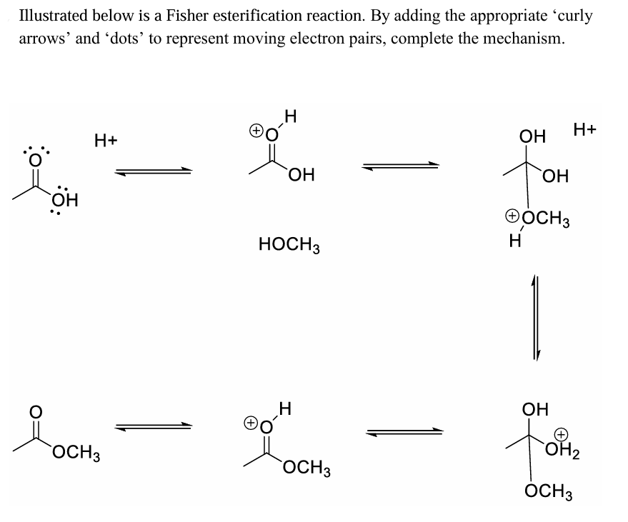Solved Illustrated below is a Fisher esterification | Chegg.com