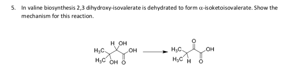 Solved In valine biosynthesis 2,3 dihydroxy-isovalerate is | Chegg.com