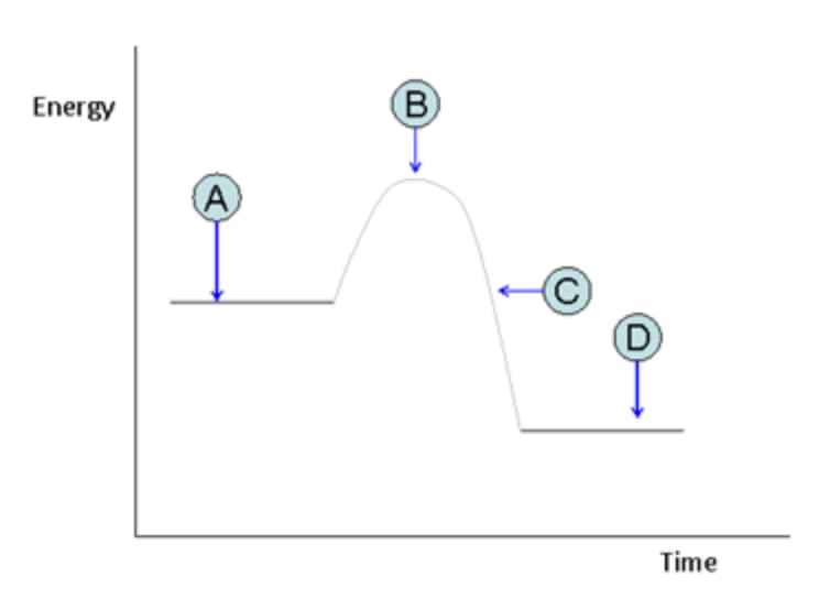 Solved Which point on the diagram represents the point at | Chegg.com