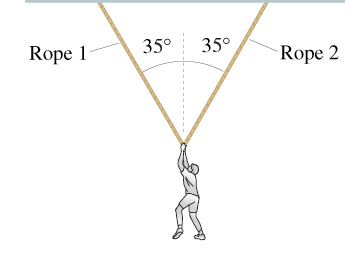 Solved A 45 kg person hangs by two ropes as shown in (Figure | Chegg.com