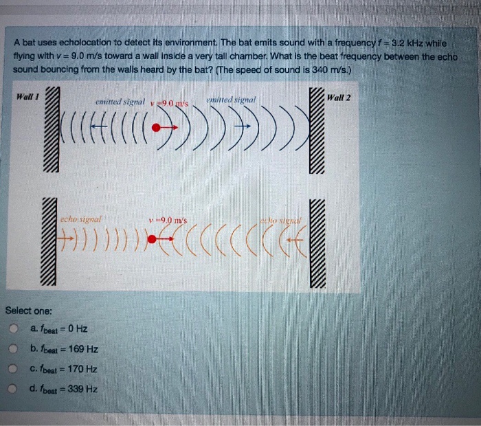 Solved A bat uses echolocation to detect its environment The | Chegg.com