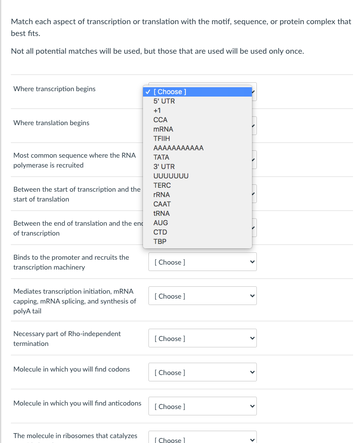 Solved Match each aspect of transcription or translation | Chegg.com