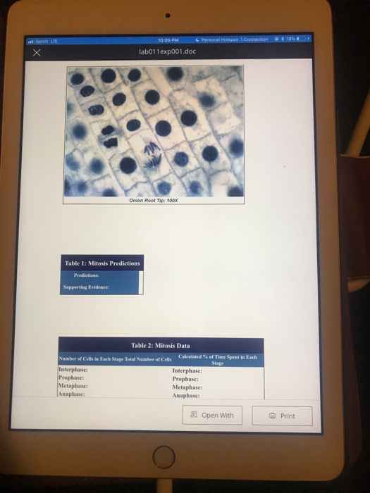 Solved * 19%.ai 9:59 PM lab011exp001.doc Mitosis Experiment | Chegg.com