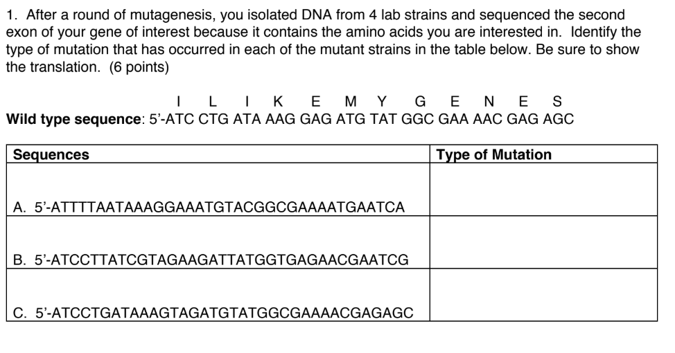 Solved 1. After a round of mutagenesis, you isolated DNA | Chegg.com