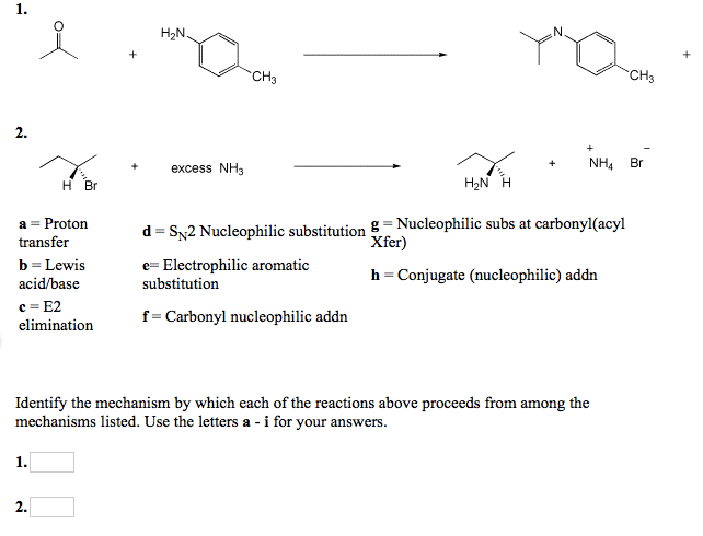 Solved H2N CH3 CH3 2. excess NH3 +NH4 Br H Br H2N H a- | Chegg.com