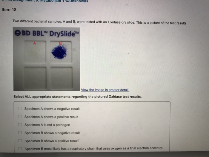 Solved Item 18 Two different bacterial samples, A and B, | Chegg.com